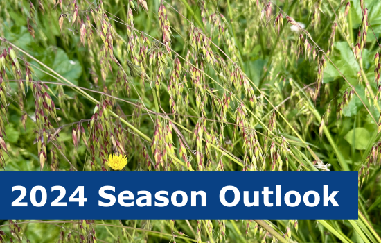 Outlook for the 2024 Perth Grass Pollen Season - Perth Pollen