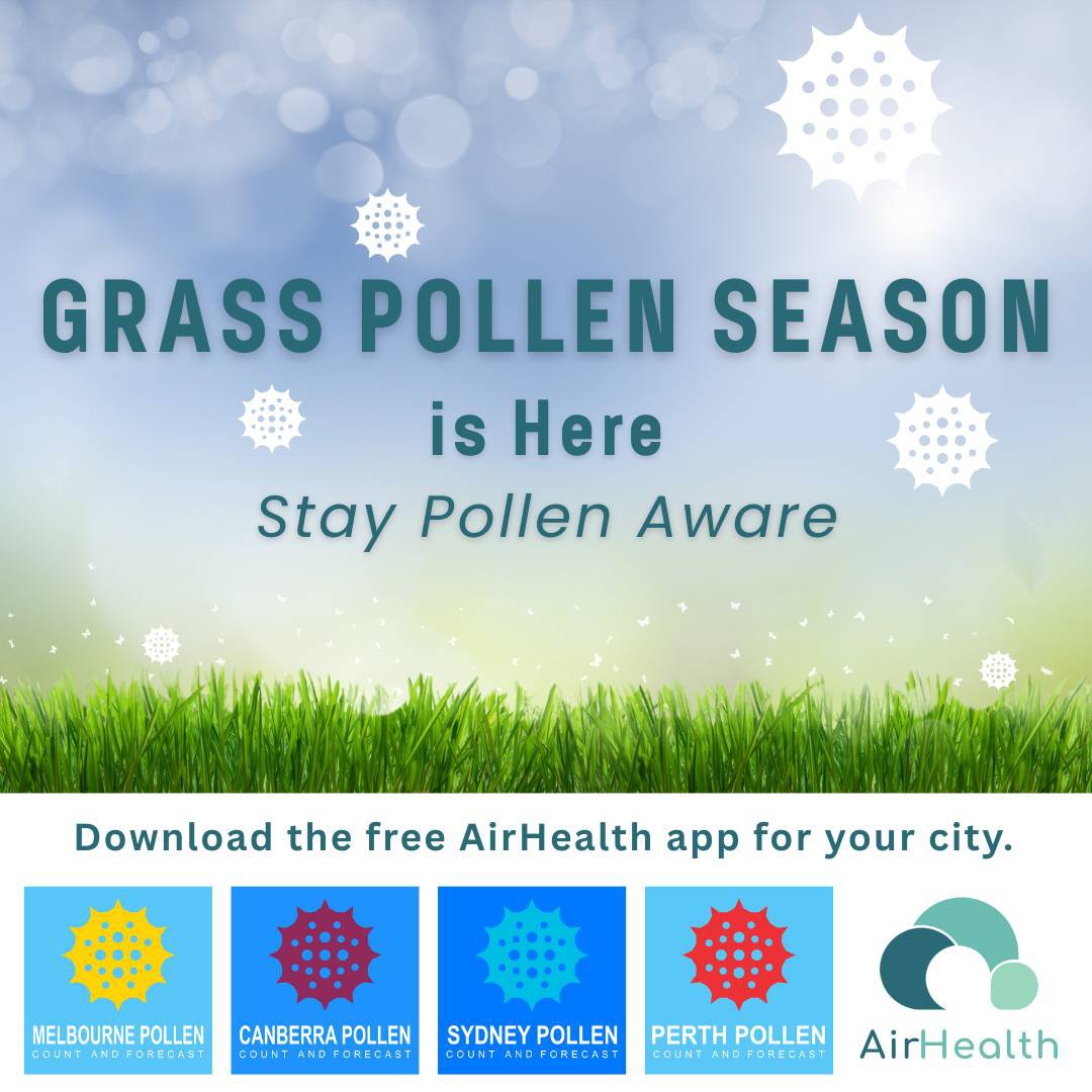 Grass Pollen Season Has Begun: What You Need to Know - Perth Pollen